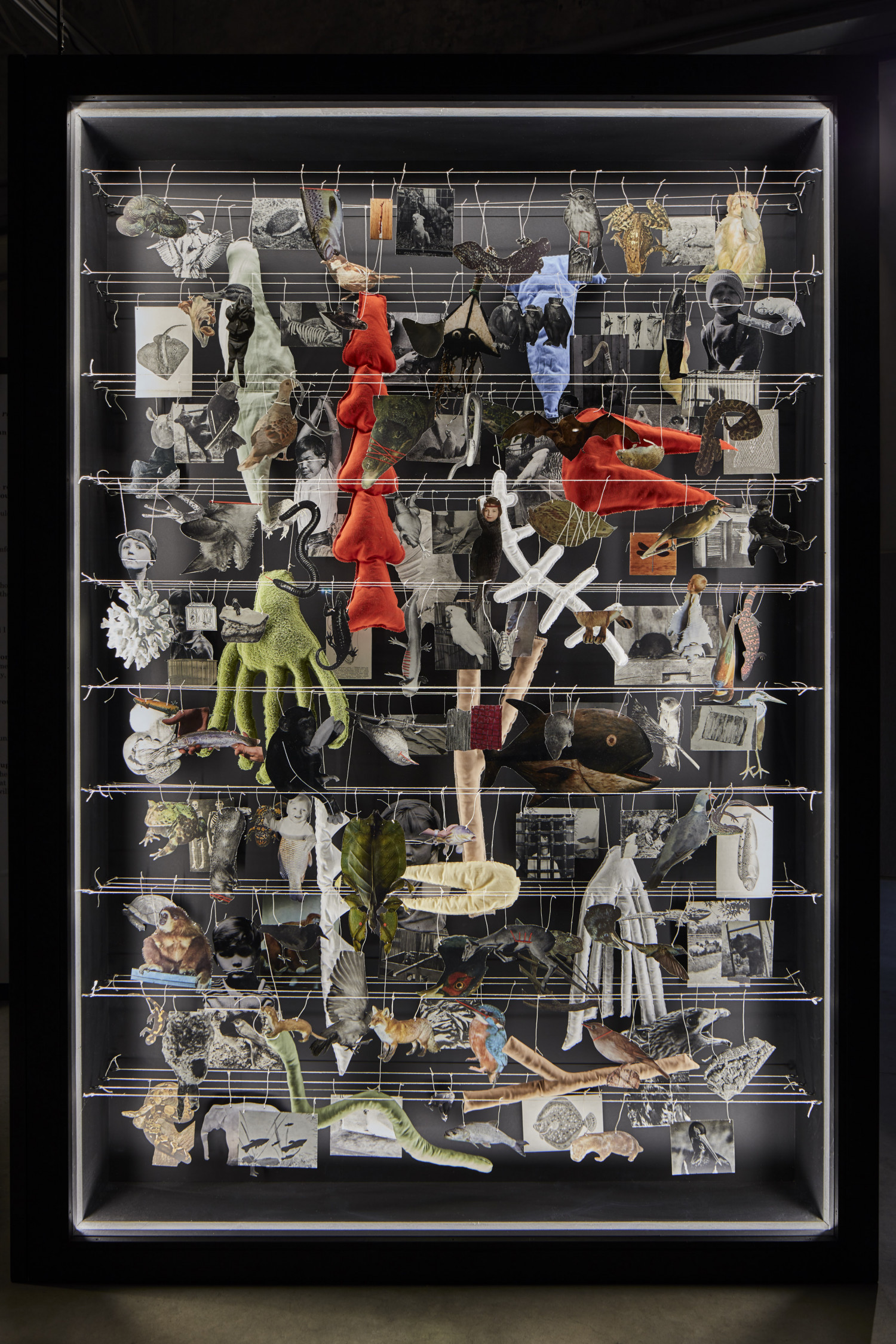 Meyer Riegger | Artists