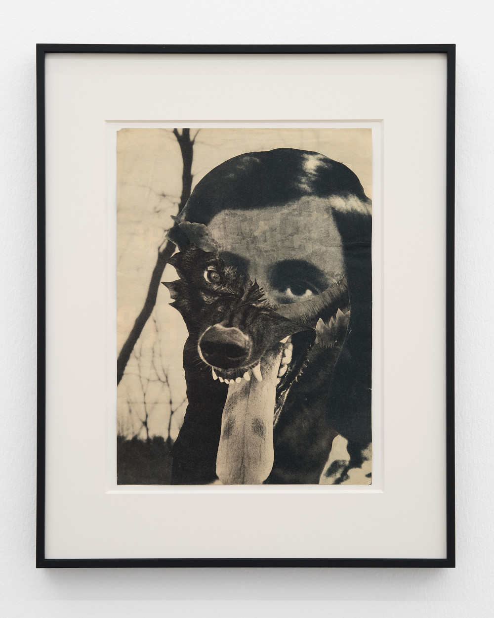 Meyer Riegger | Home