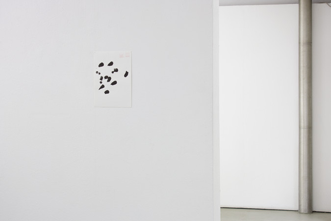 Meyer Riegger | Cluster Illusion