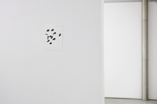 Meyer Riegger | Cluster Illusion