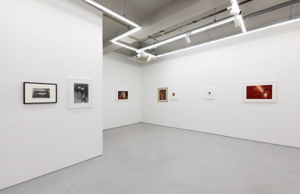 Meyer Riegger | Subversions