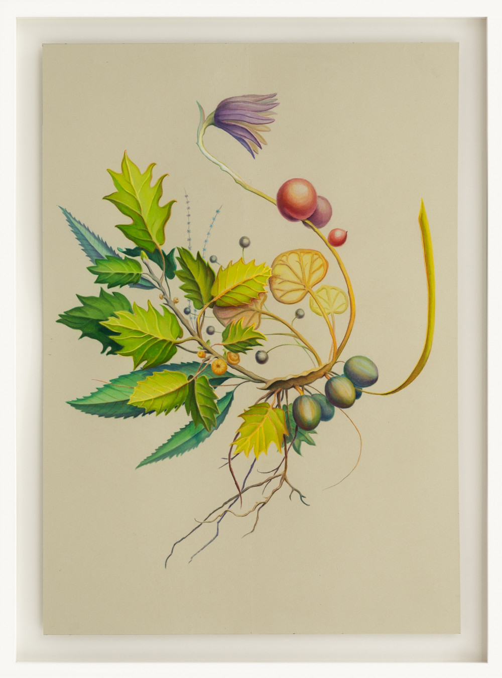 Meyer Riegger | David Thorpe