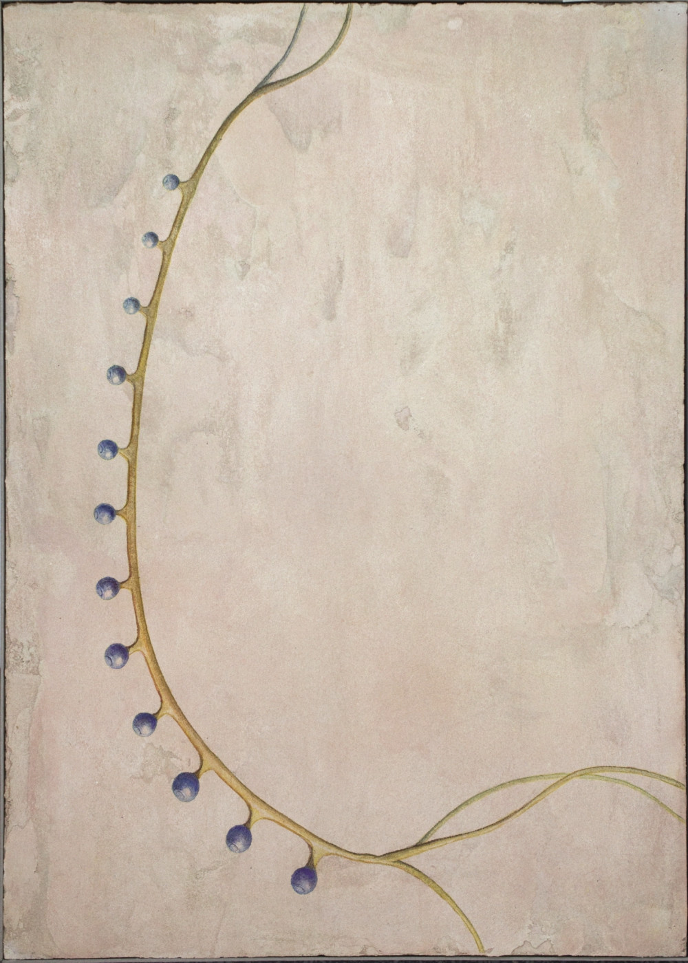 Meyer Riegger | David Thorpe