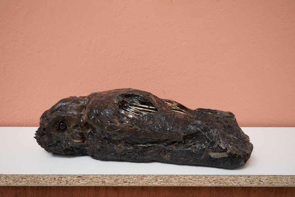 Meyer Riegger | Sprechen, Stille