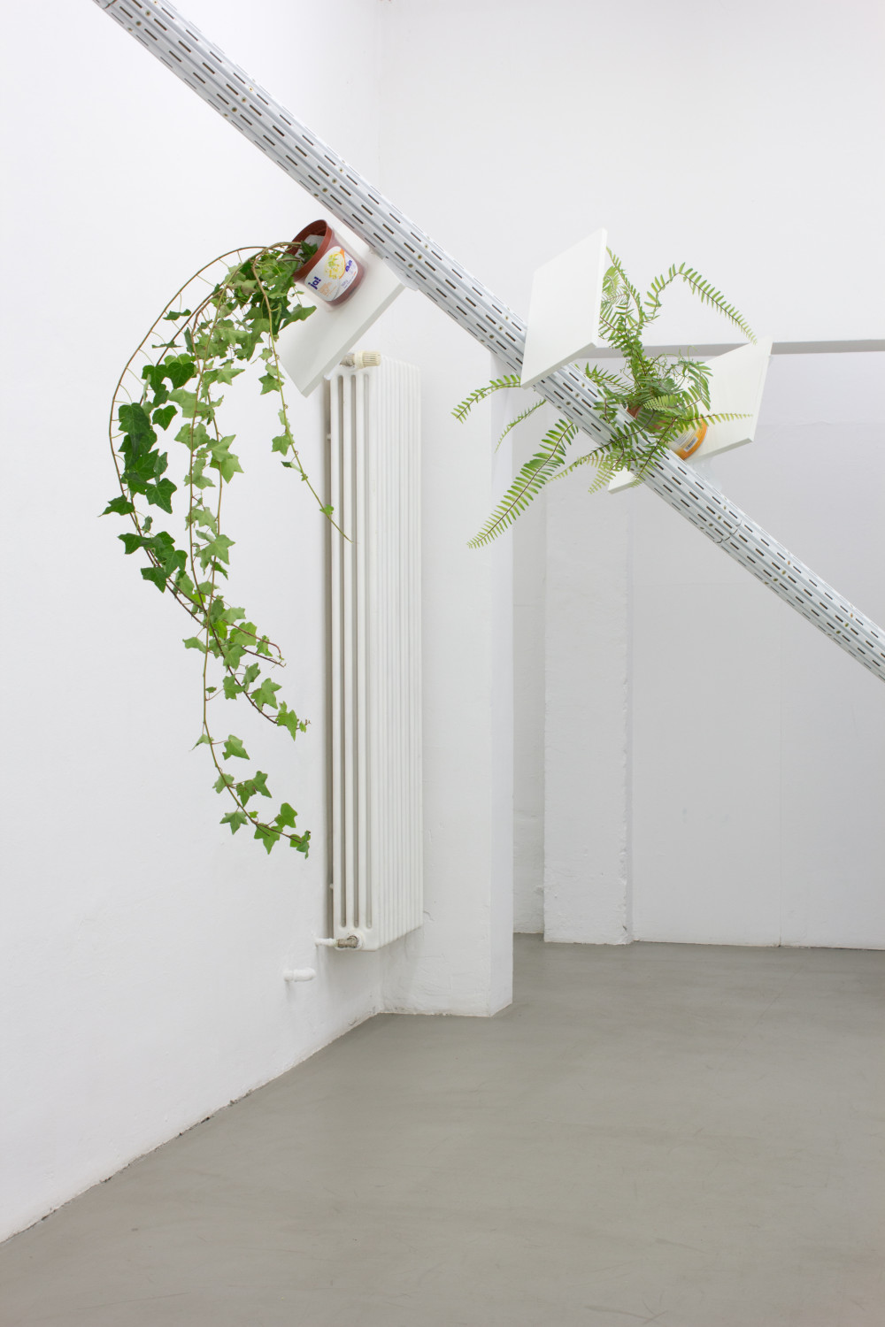 Meyer Riegger | parkschuetzer.de