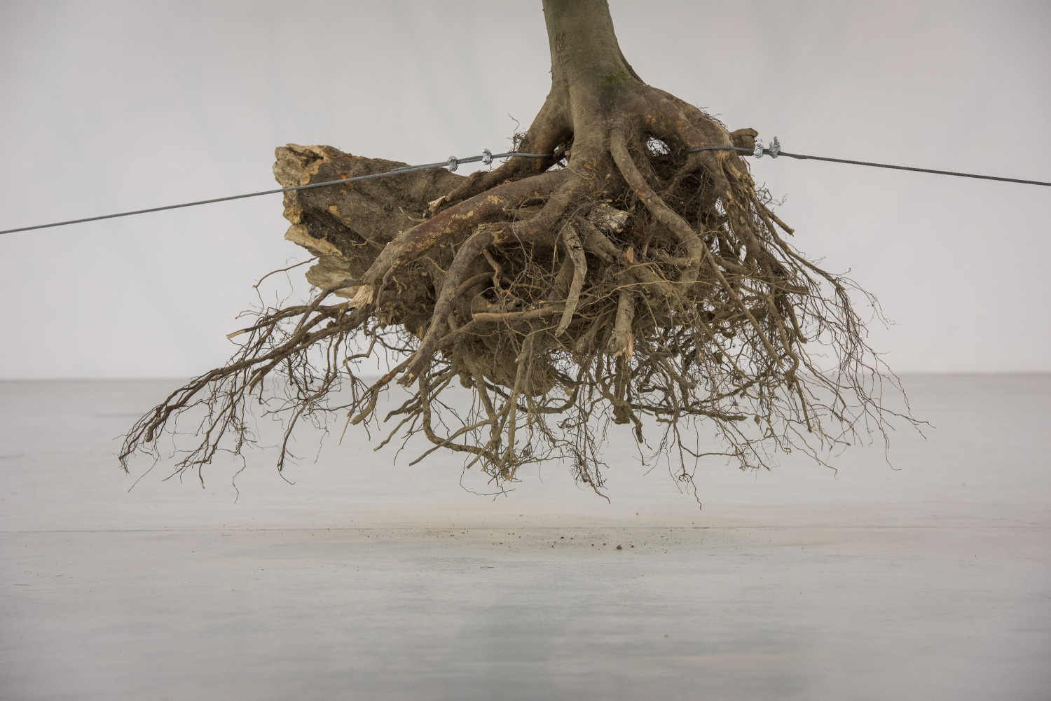 Meyer Riegger | Artists