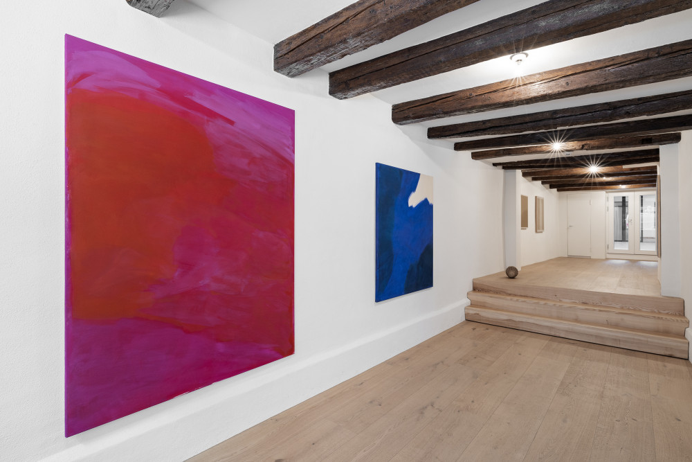 Meyer Riegger | Home