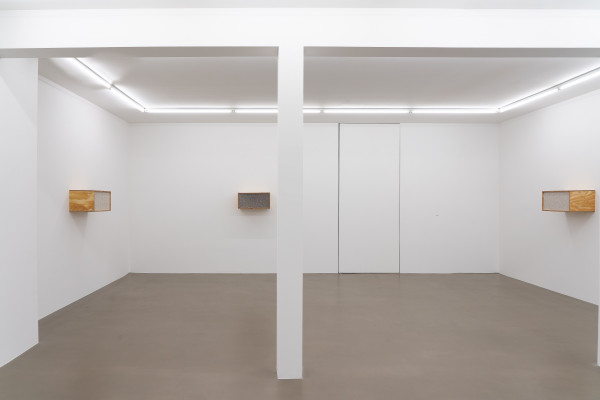 Meyer Riegger | Home