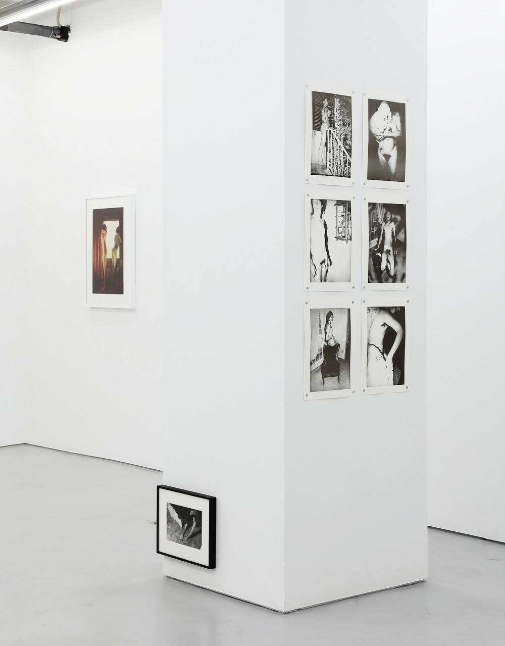 Meyer Riegger | Subversions