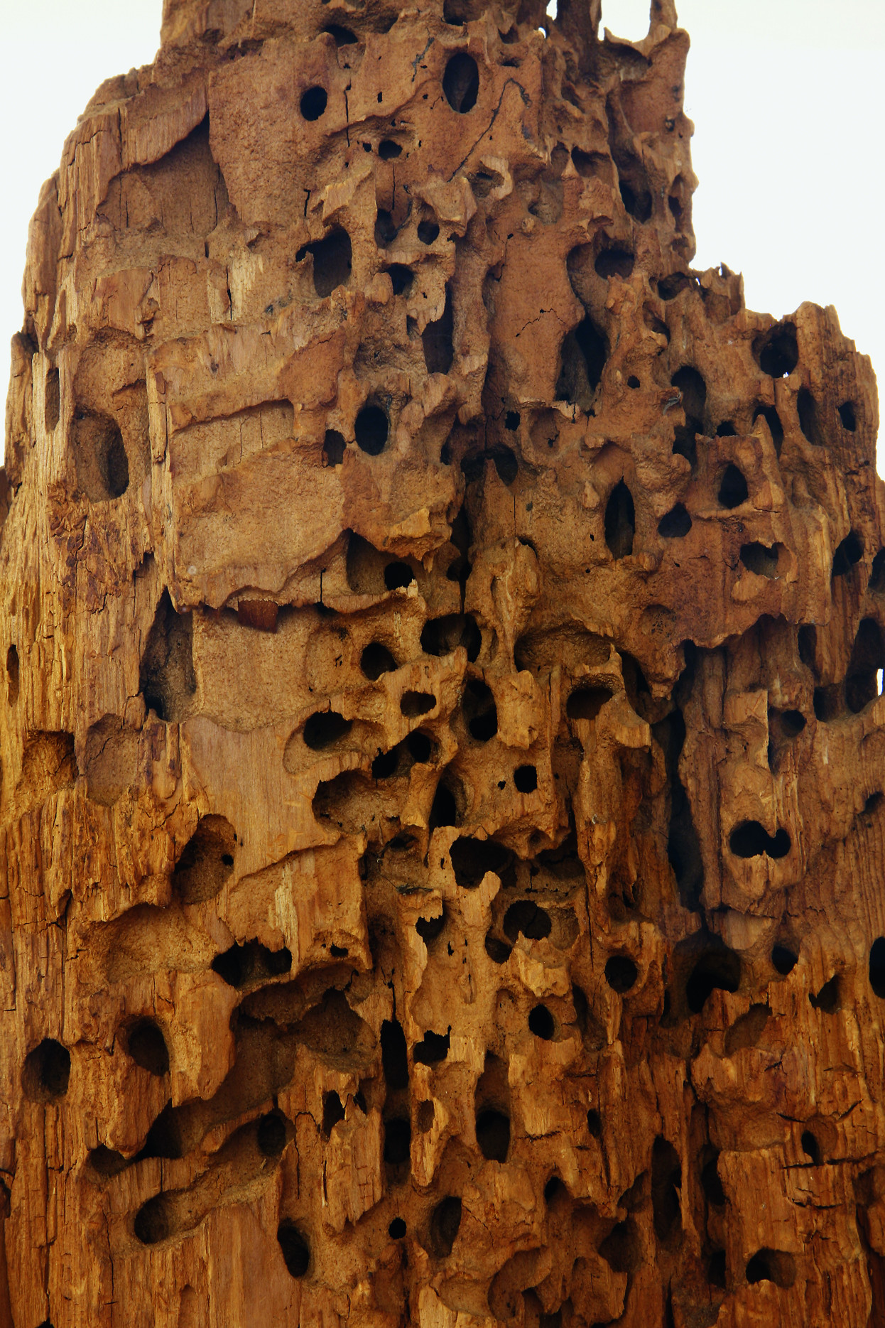 Meyer Riegger | Artists