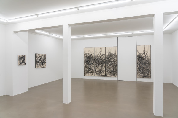 Meyer Riegger | Home