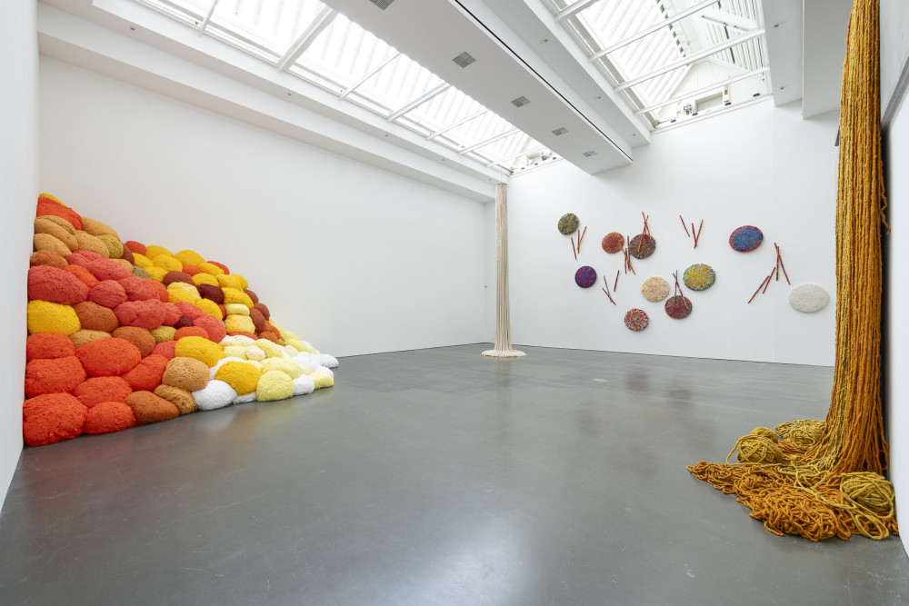 Meyer Riegger | Sheila Hicks