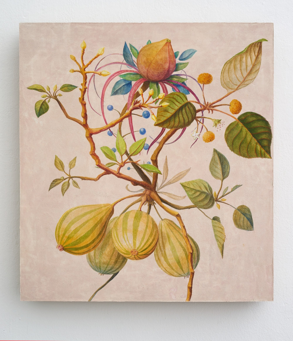 Meyer Riegger | David Thorpe