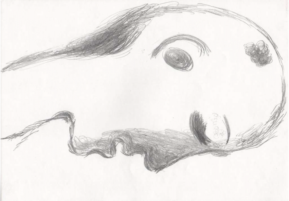 Meyer Riegger | Home