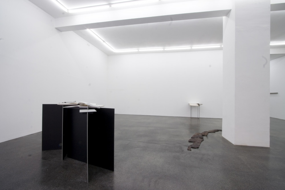 Meyer Riegger | Simultan