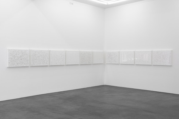 Meyer Riegger | Indefinite Swarms, Selected Works 2009 - 2012