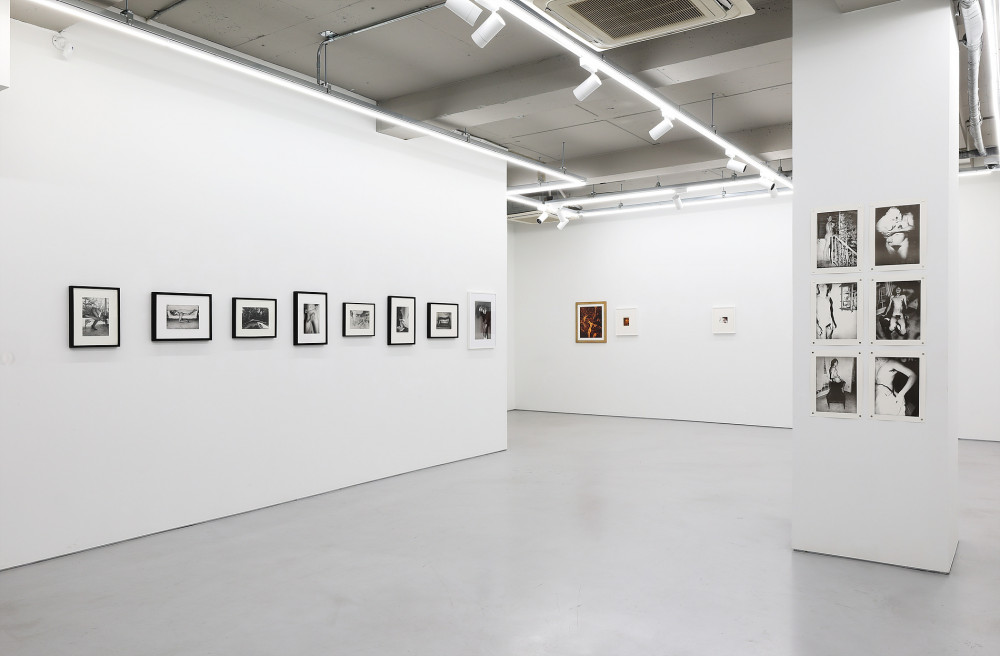 Meyer Riegger | Subversions