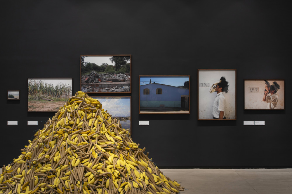 Meyer Riegger | Stories