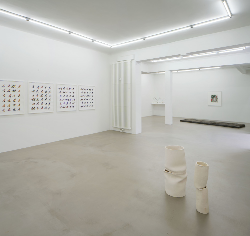 Meyer Riegger | Come together